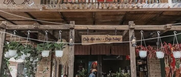 Ollin Cafe - KHOE QUÁN