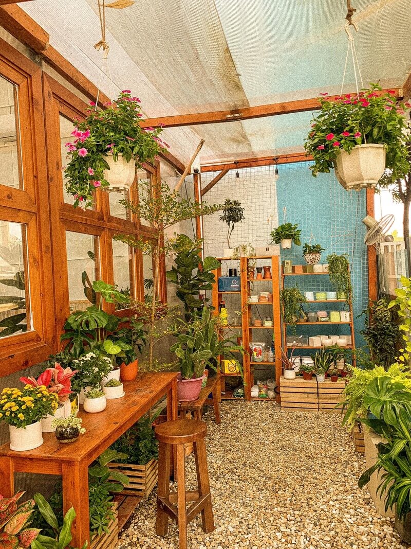 Aruhi Concept - Khoe Quán