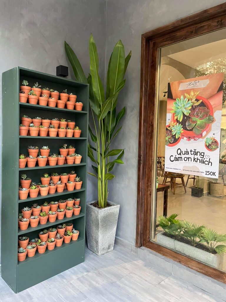 THE SIS CAFE - Khoe Quán