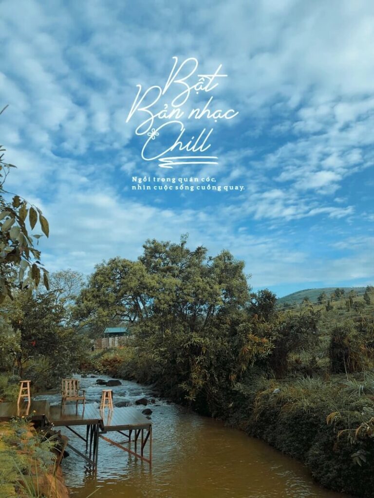 Nhà Của Gạo - Khoe Quán