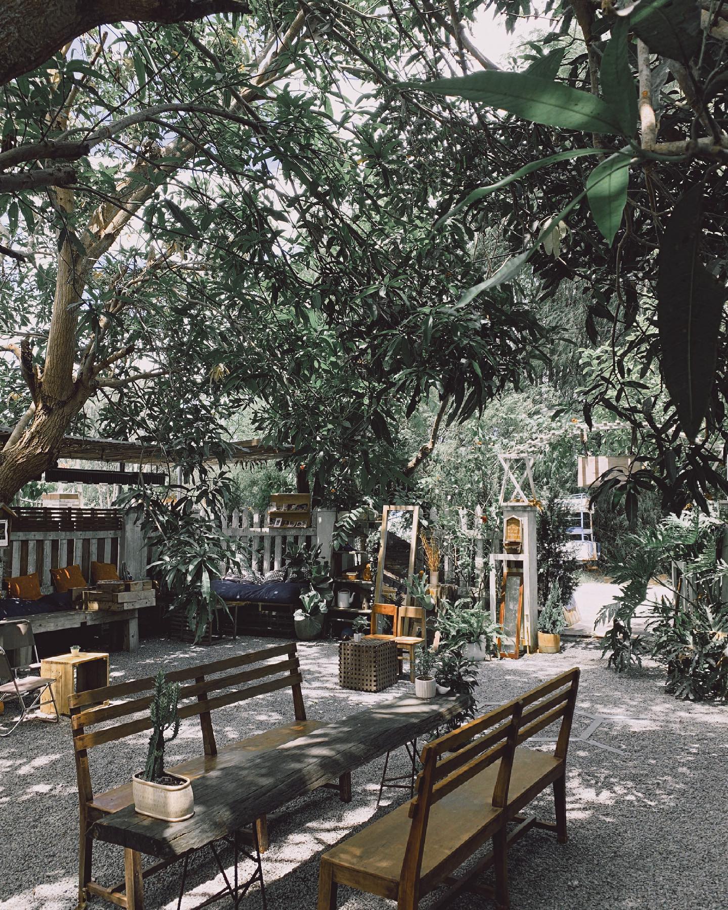 Amazing Cafe - Khoe Quán