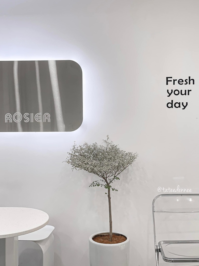 Rosier Fresh Tea & Coffee - Khoe Quán