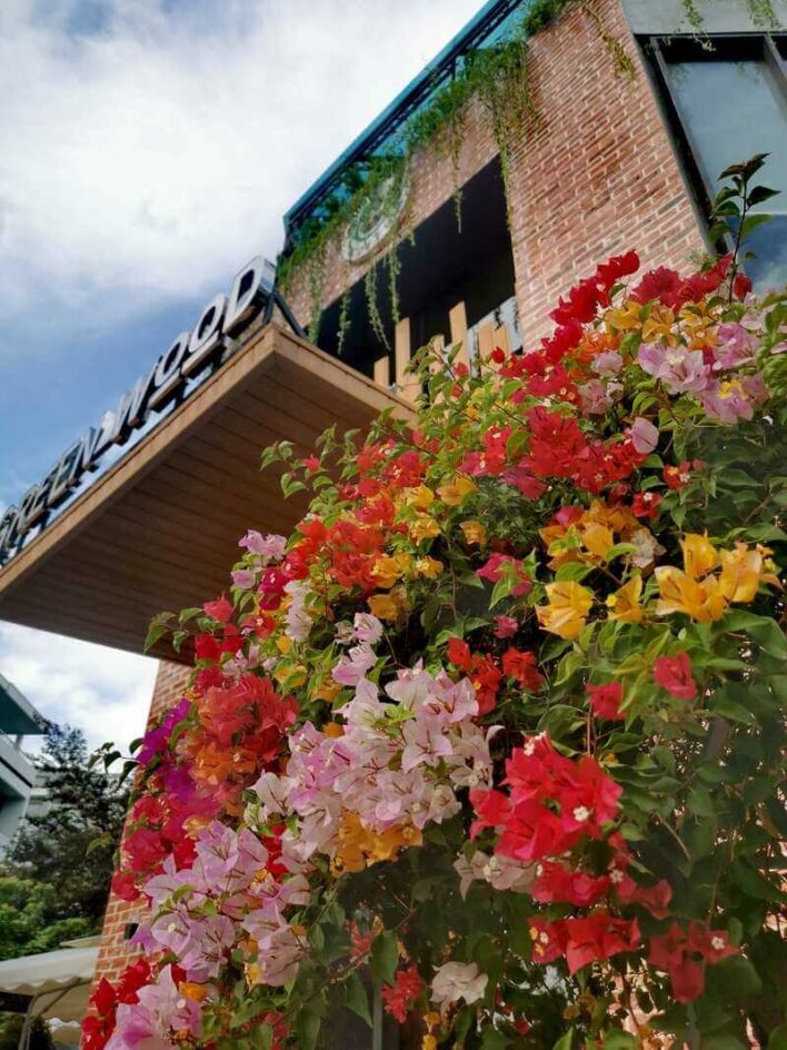 GreenWood Coffee - Khoe Quán