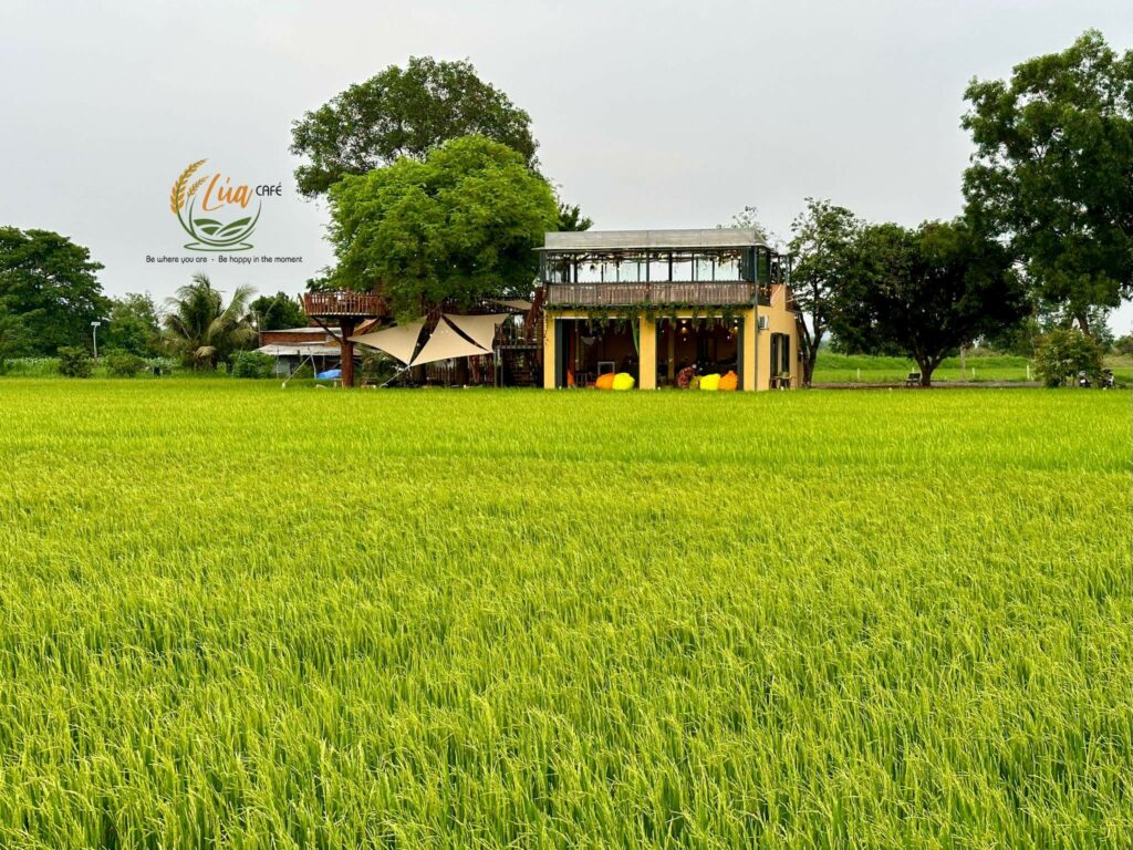 🌾🌾🌾 Lúa Cafe - Khoe Quán