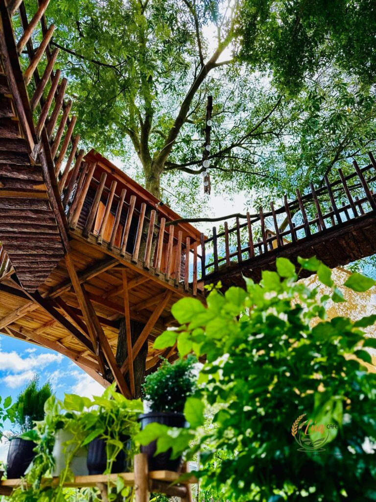 🌾🌾🌾 Lúa Cafe - Khoe Quán