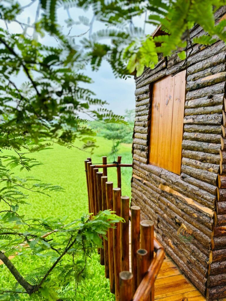 🌾🌾🌾 Lúa Cafe - Khoe Quán