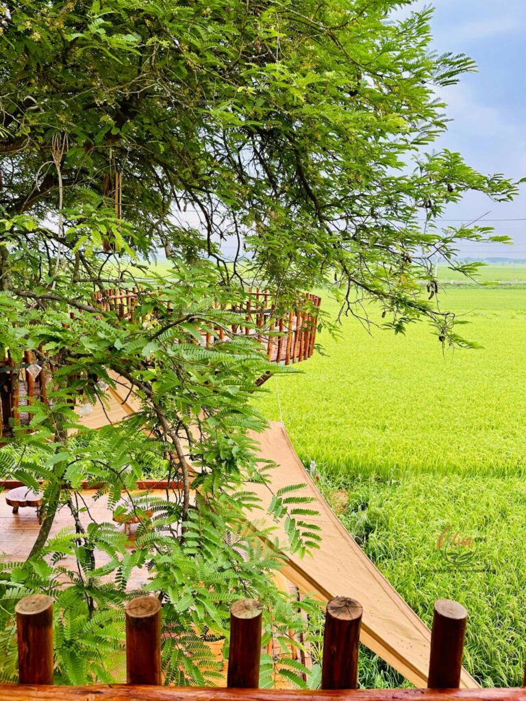 🌾🌾🌾 Lúa Cafe - Khoe Quán