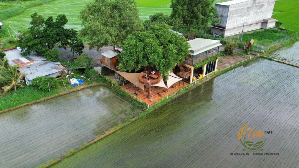 🌾🌾🌾 Lúa Cafe - Khoe Quán