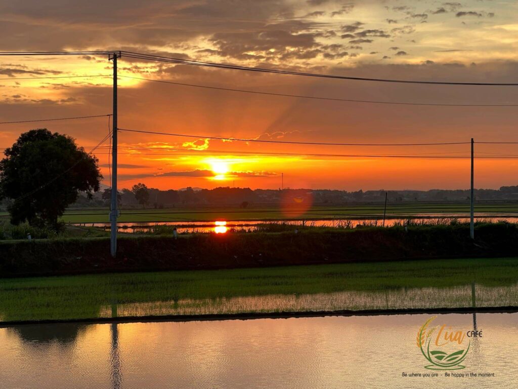 🌾🌾🌾 Lúa Cafe - Khoe Quán