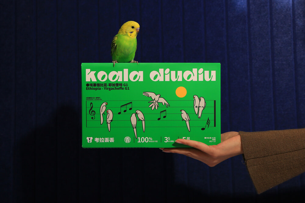 Koala DiuDiu - Khoe Quán