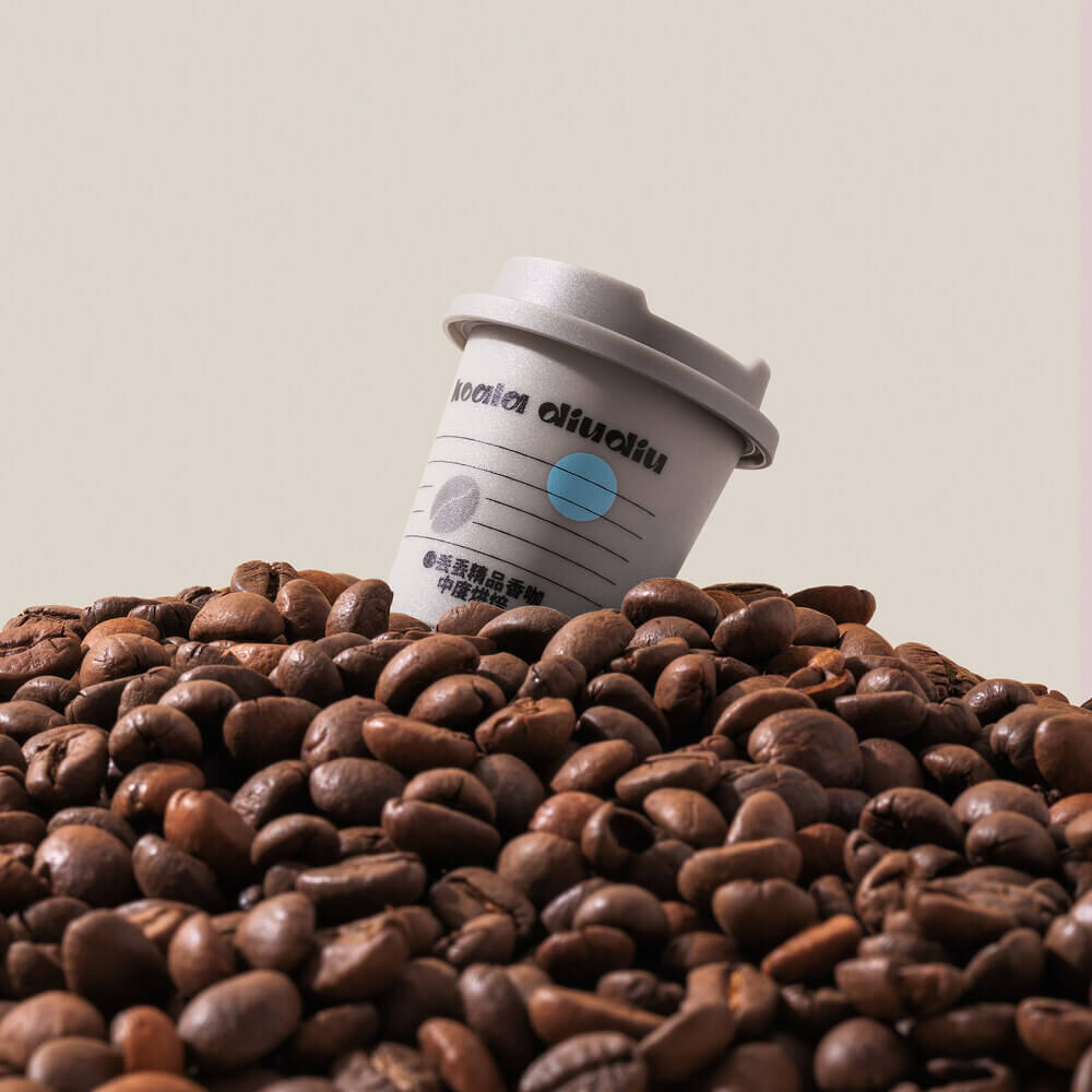 Koala DiuDiu - Khoe Quán