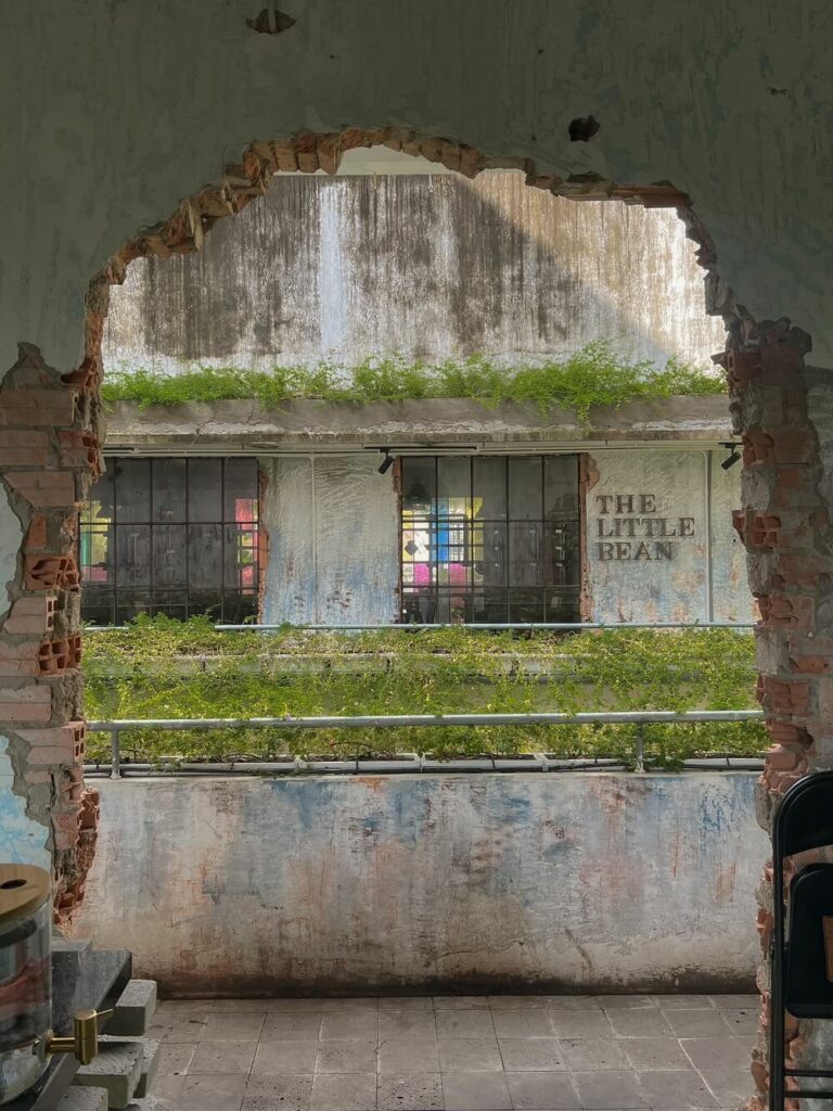 The Little Bean Coffee - Tiệm cafe tựa như khu vườn trên mây - Khoe Quán