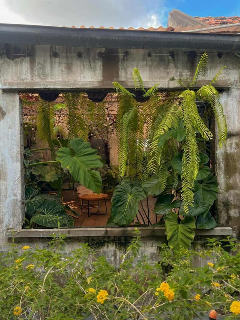 The Little Bean Coffee - Tiệm cafe tựa như khu vườn trên mây - Khoe Quán