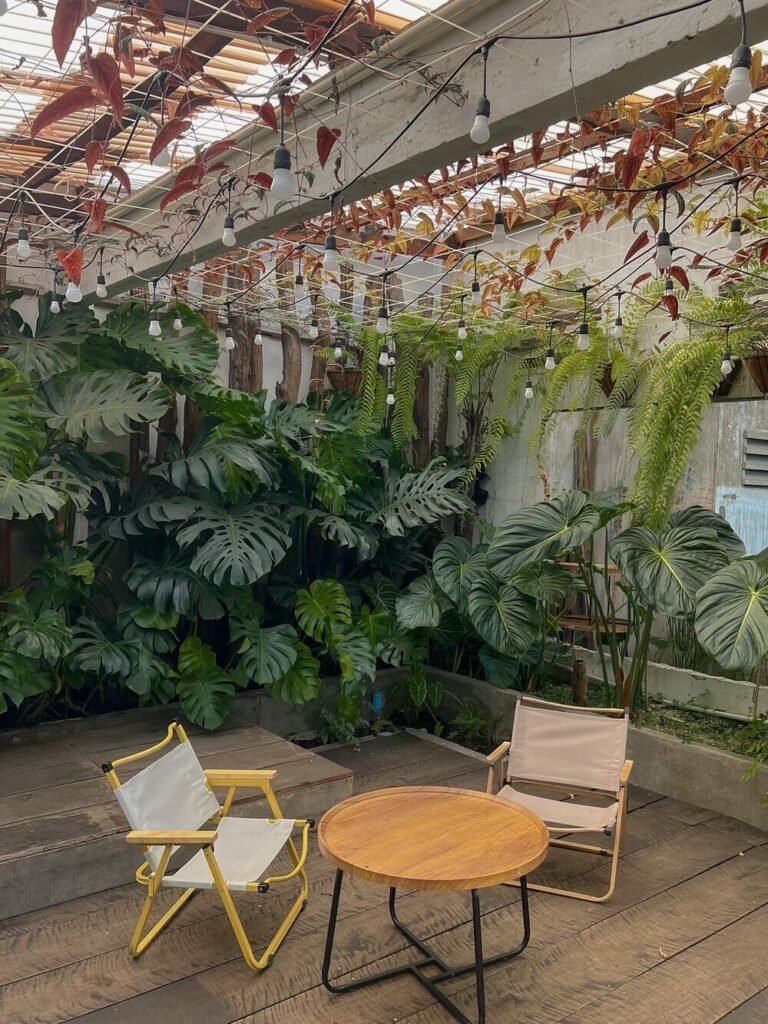 The Little Bean Coffee - Tiệm cafe tựa như khu vườn trên mây - Khoe Quán