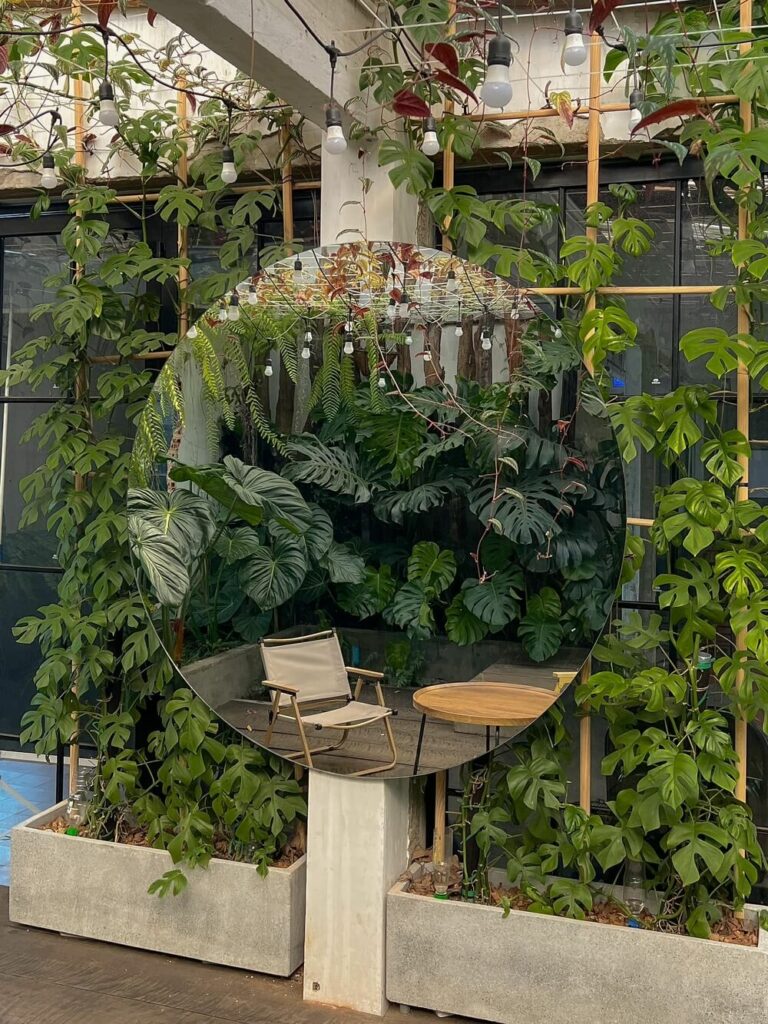 The Little Bean Coffee - Tiệm cafe tựa như khu vườn trên mây - Khoe Quán