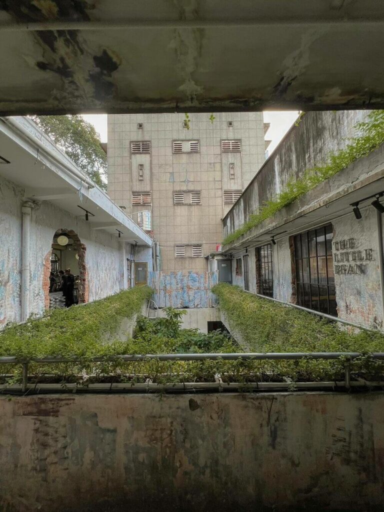 The Little Bean Coffee - Tiệm cafe tựa như khu vườn trên mây - Khoe Quán