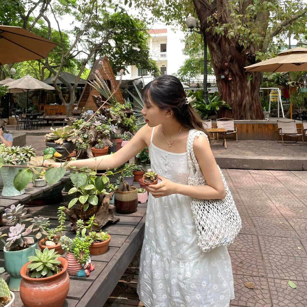 Treeland Coffee - Khoe Quán