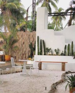 Caztus Ice Blend - Khoe Quán