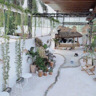 NAI CHA Bubble - Khoe Quán