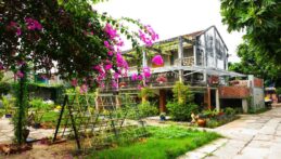 Caztus Ice Blend - Khoe Quán