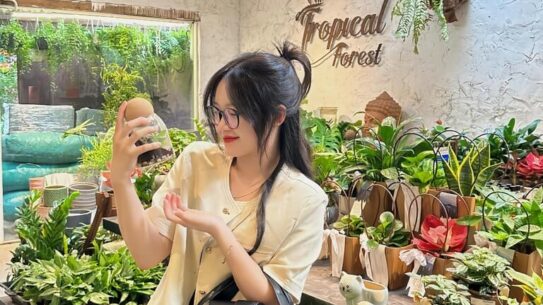 Mecha Tea & Coffee - Khoe Quán