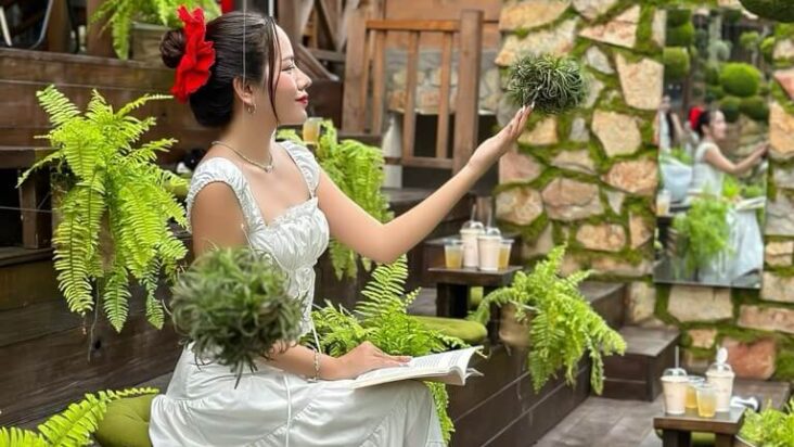 Daisy Coffee - Khoe Quán