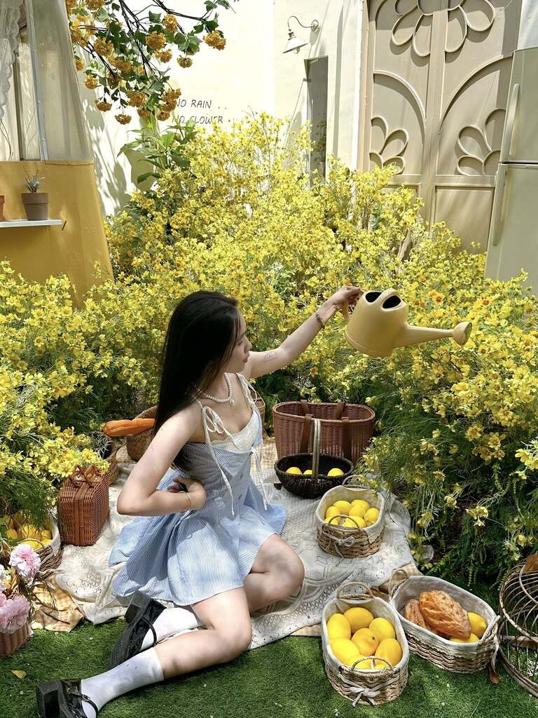 Daisy coffee - Khoe Quán