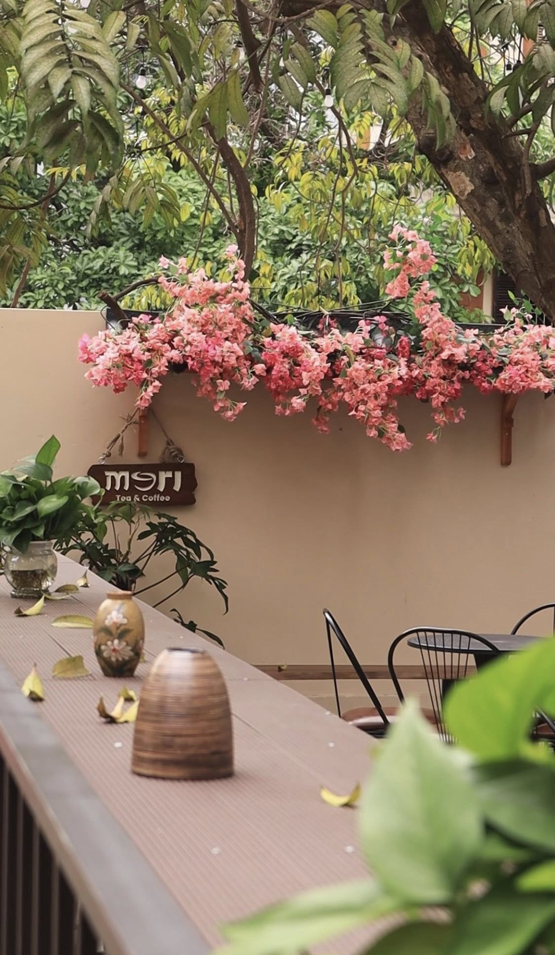 Mori Tea & Coffee - Khoe Quán